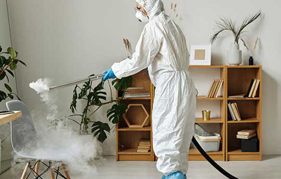 Golden Arrow Contracting & Cleaning